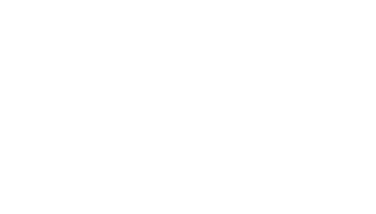 Valiant Branding Guidelines