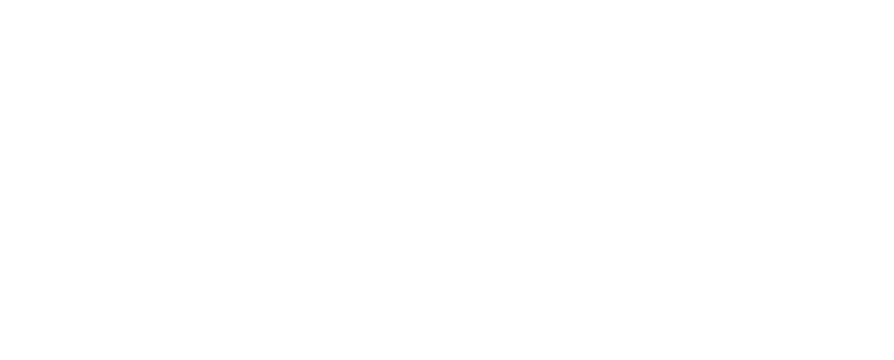 Valiant Workplace Branding Guidelines