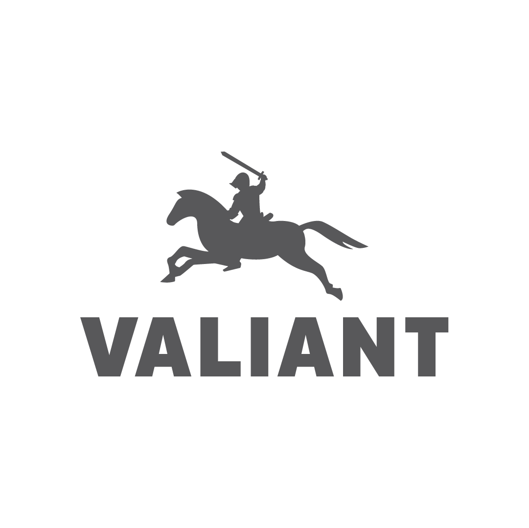Valiant Branding Guidelines